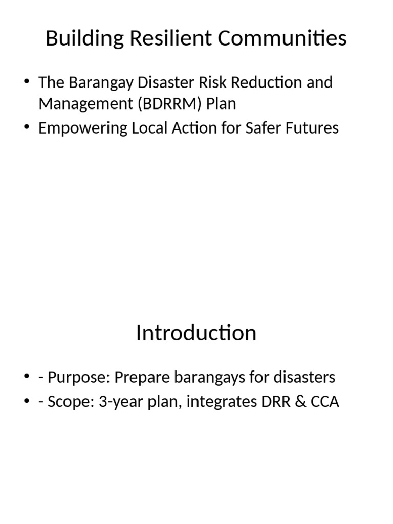 BDRRM Plan Presentation | PDF