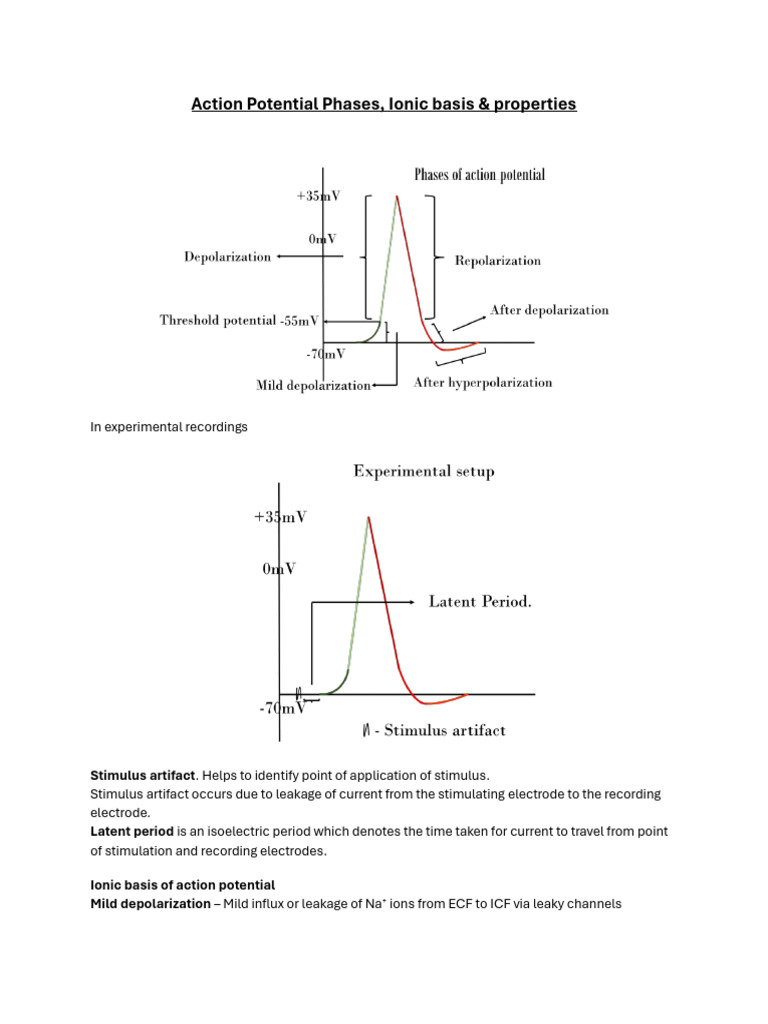 Action Potential Phases, Ionicbasis&Properties SGMCMBBS24 Batchnotes ...