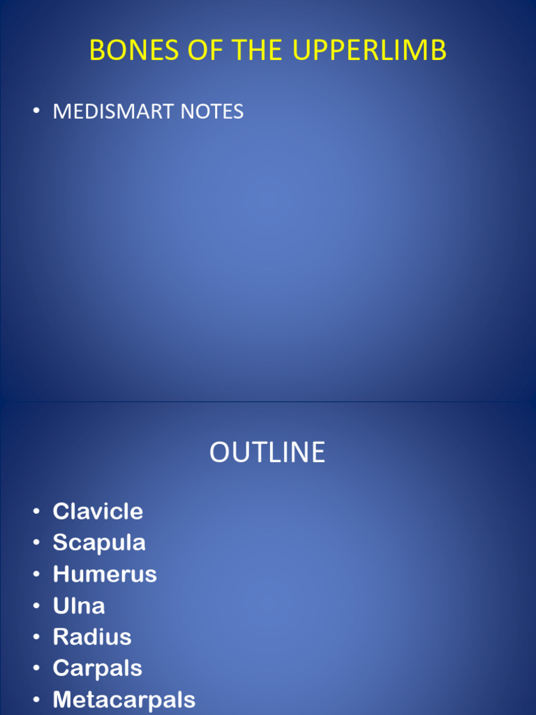 ''MS Bones of The Upperlimb (1) | PDF | Human Anatomy | Skeletal System