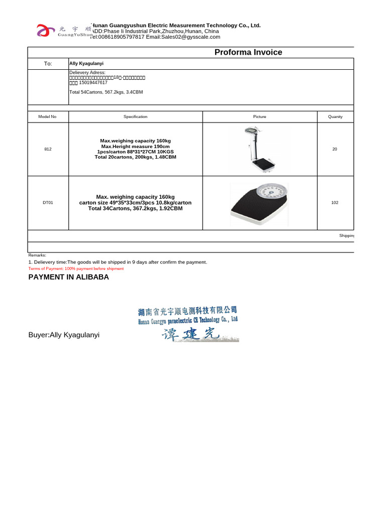 Proforma Invoice: Payment in Alibaba | PDF