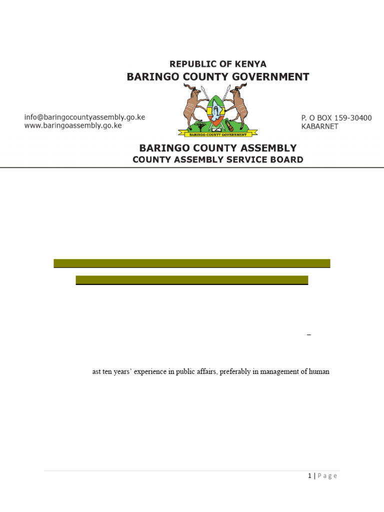 Vacancy External Board Member | PDF | Audit Committee | Audit