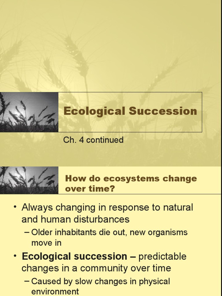 Ecological Succession | PDF | Aquatic Ecosystem | Ecoregions