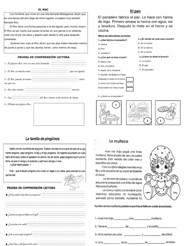 Lecturas Cortas de Comprensión | PDF