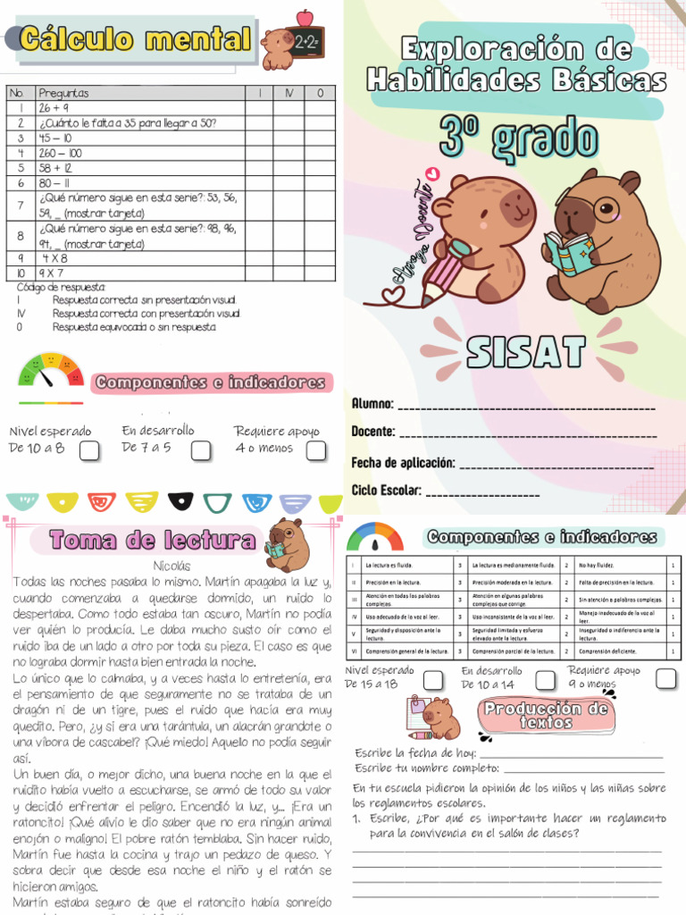 ? 3° Sisat 2025 Color Ad | PDF