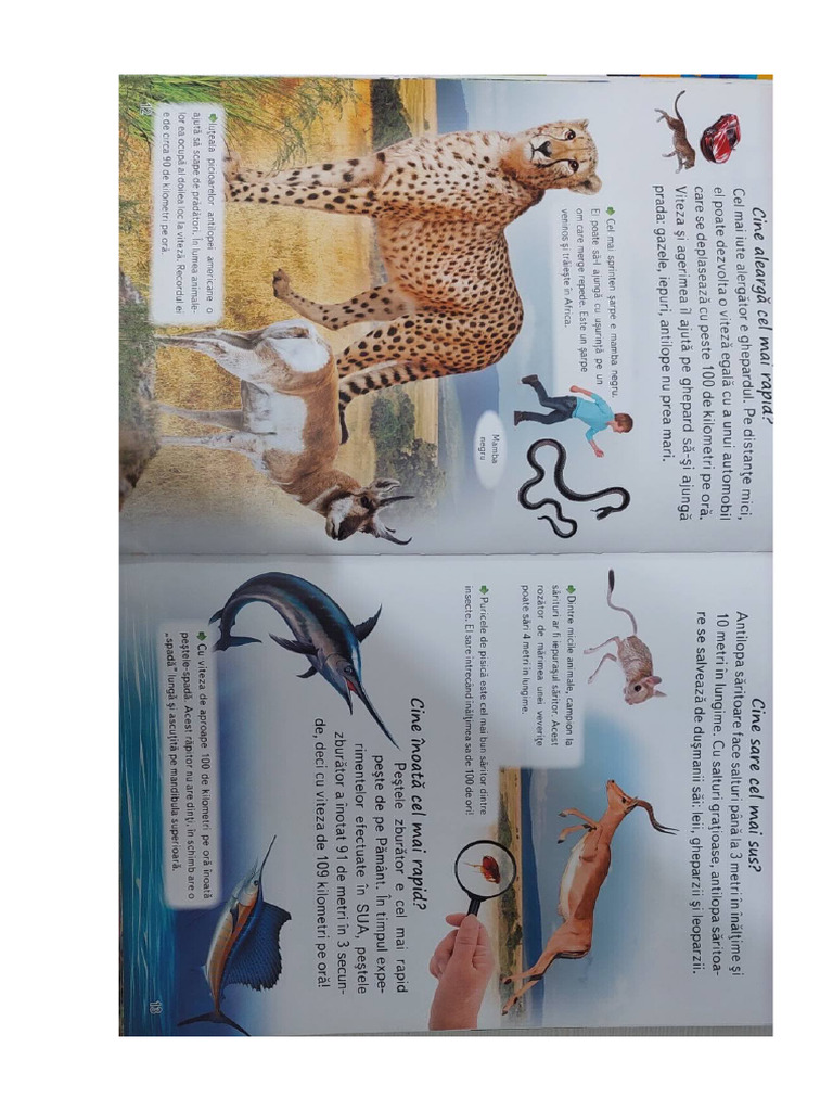 Cine Alearga Cel Mai Rapid | PDF