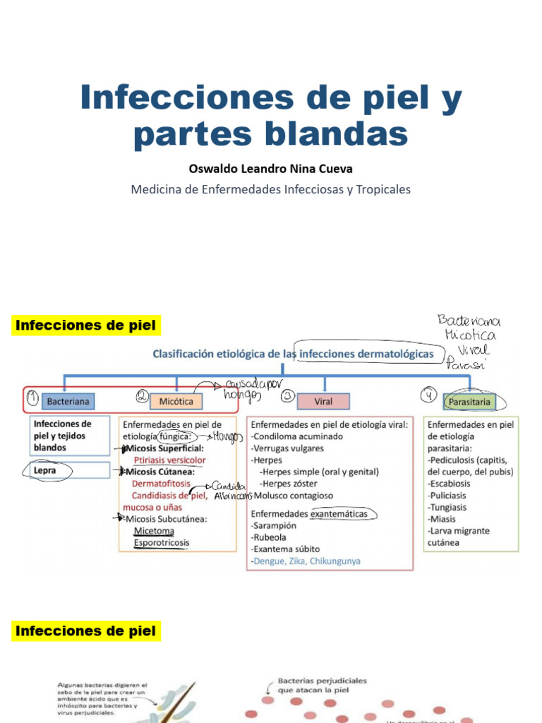 6 - Infecciones de La Piel y Partes Blandas Por Bacterias | PDF