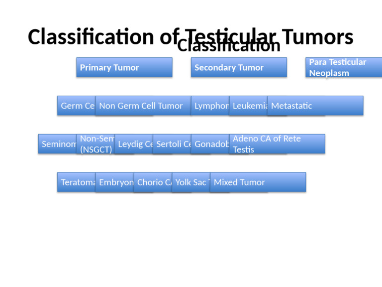 Testicular Tumor Classification | PDF
