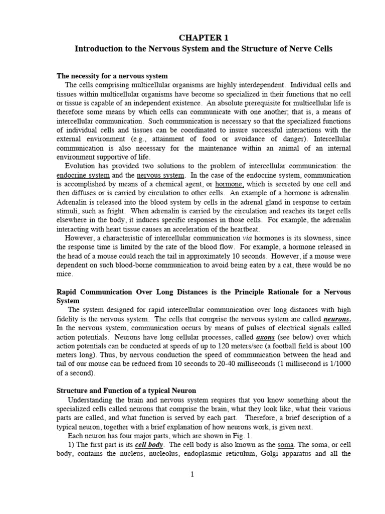 New Chapt 1 Intro To NS | PDF | Chemical Synapse | Synapse