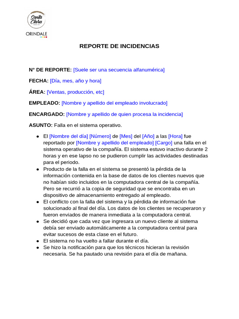 Modelo de Reporte de Incidencias | PDF