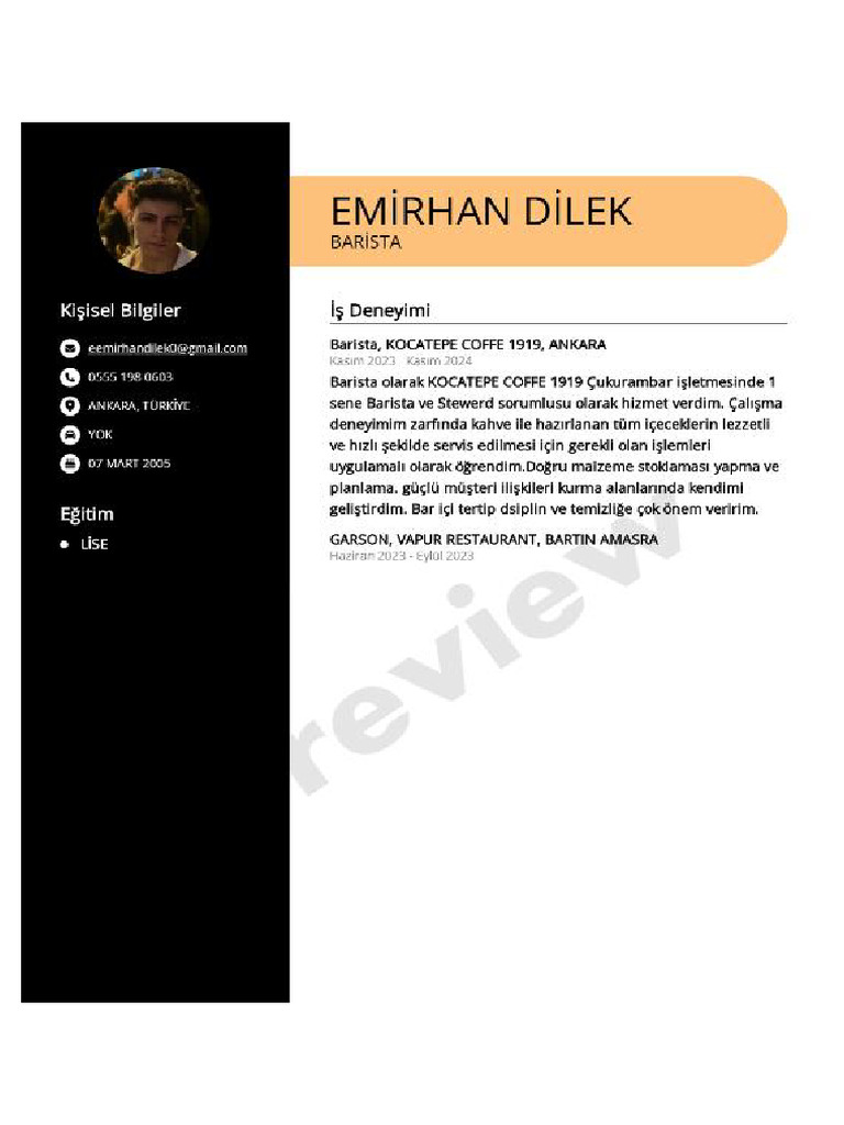 Emirhan Dilek CV | PDF