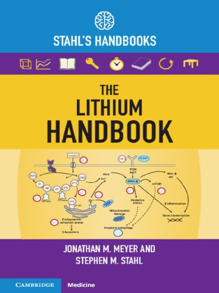 Comprehensive Guide to Lithium Therapy | PDF | Bipolar Disorder | Mood ...