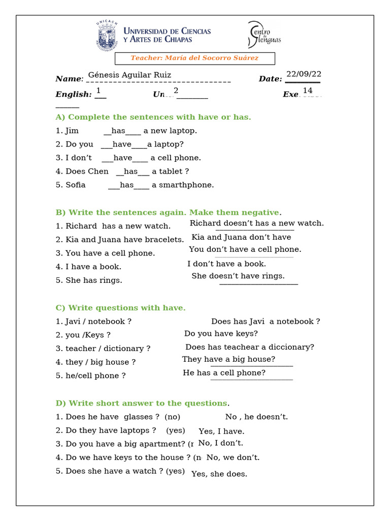 Exercise 14 Grammar Have-Has | PDF