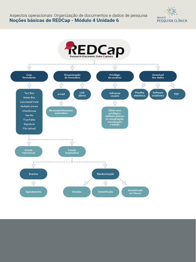 Tópicos Essenciais - REDCap | PDF