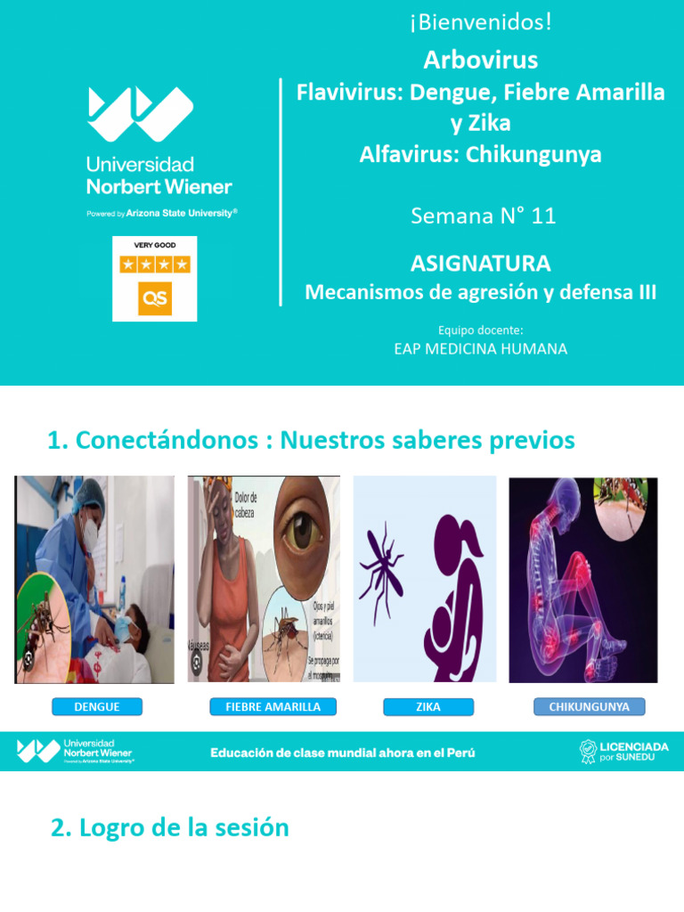 Semana 11 Agresion III Arbovirus | PDF | Virus Zika | Fiebre del zika