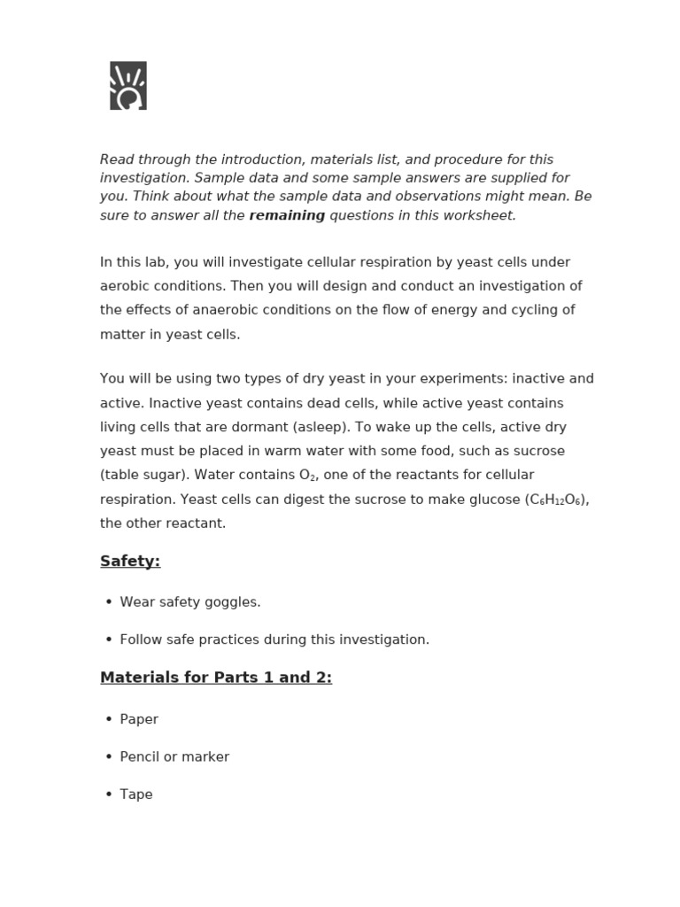 2.3.1 Lab - Investigating The Flow of Energy and Cycling of Matter (Dry ...