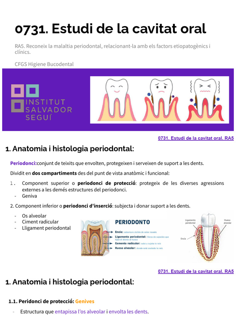 Estudi de La Cavitat Oral - RA5 | PDF