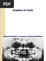 Eruption Chart | PDF | Tooth | Dentistry Branches