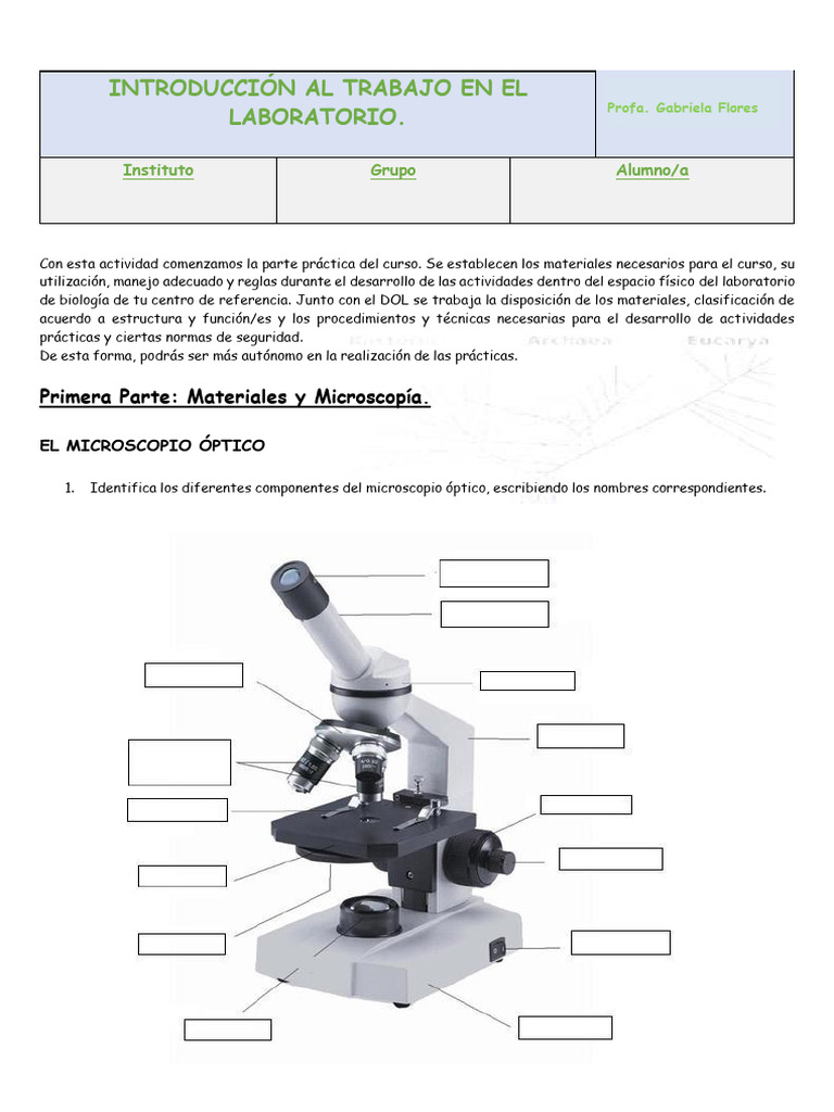 Componentes del Microscopio Óptico 2024 | PDF | Microscopio | Óptica