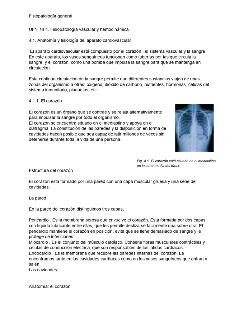 FISIO 4.1 Temario | PDF | Corazón | Coagulación