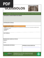 APOSTILA EMBRAPA - Gleissolos | PDF | Solo | Geomorfologia