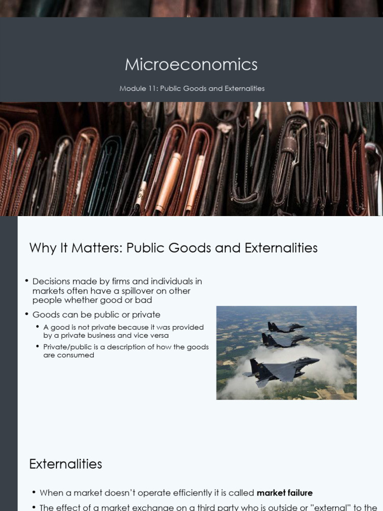 Microeconomics 11 Public Goods and Externalities | PDF | Externality ...
