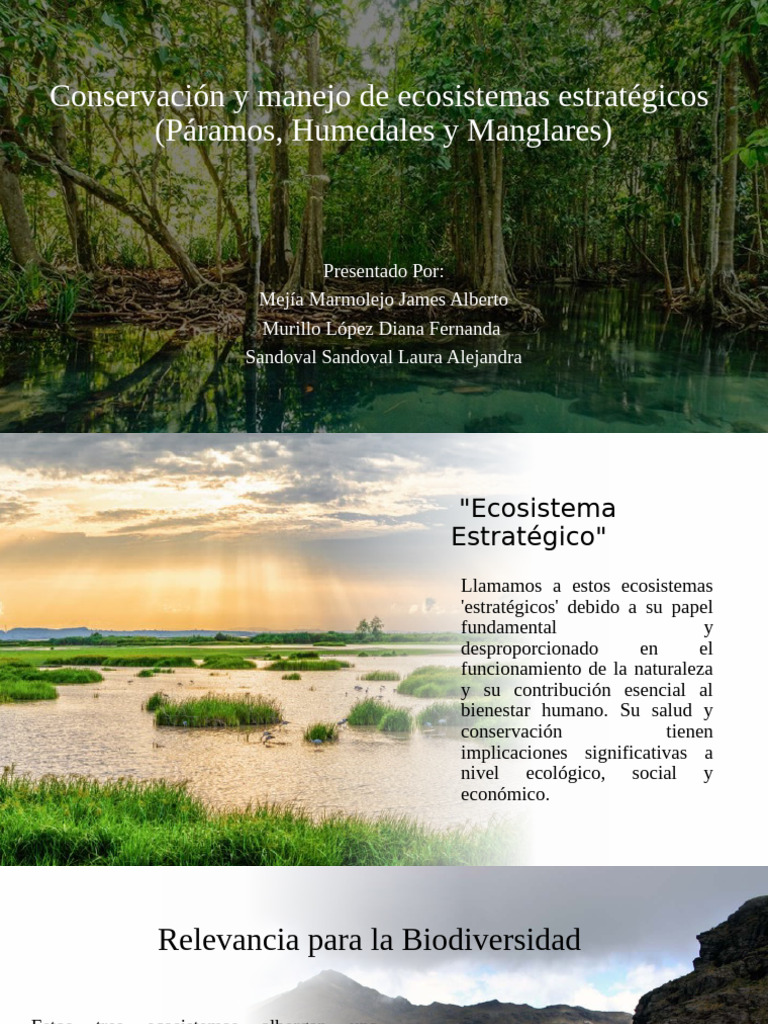 Conservación y Manejo de Ecosistemas Estratégicos | PDF | Humedal | Agua