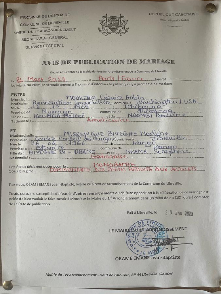 Document WPS Office | PDF