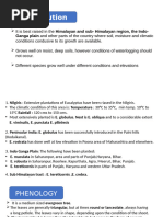 Safeda Tree Description Lavish Sharma | PDF