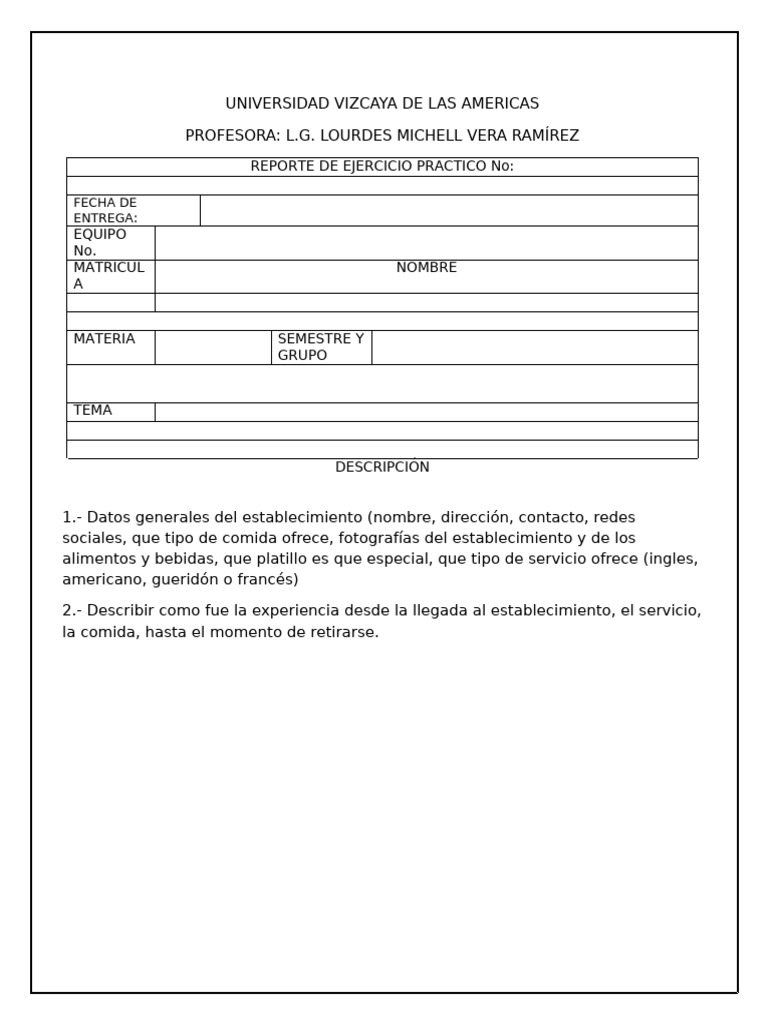 Formato Reporte de Visita | PDF