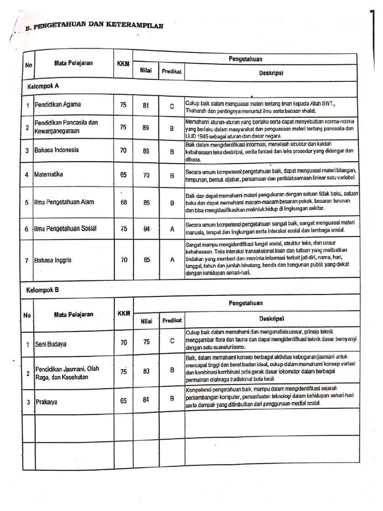 Raport Semester 1 002 001 | PDF