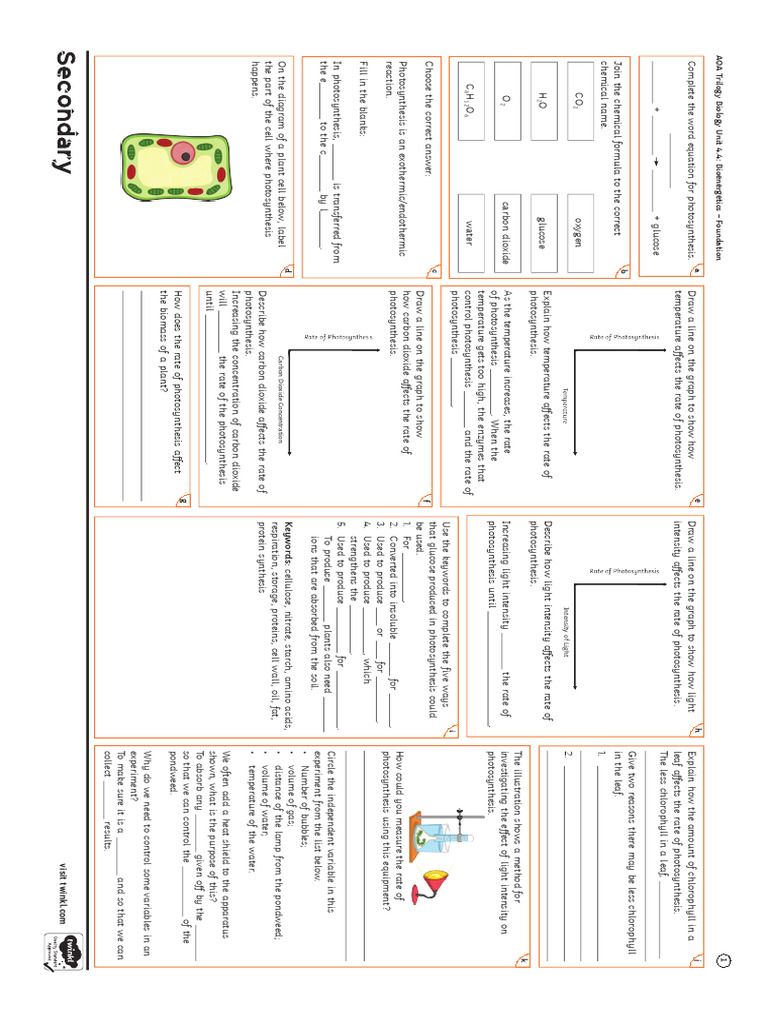 Photosynthesis Revision Mat | PDF | Photosynthesis | Carbon Dioxide
