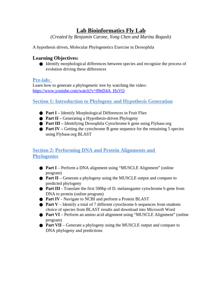 Bioinformatics Lab Drosophila Handout For STUDENTS | PDF | Phylogenetic Tree | Nucleic Acid Sequence