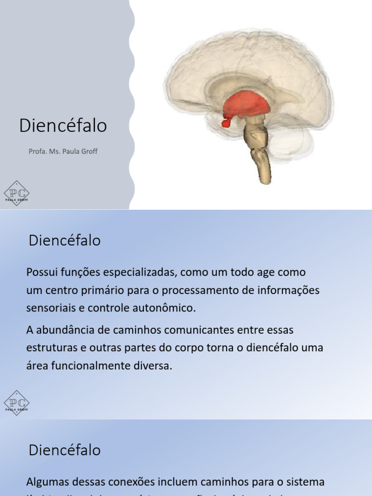 Diencéfalo | PDF | Hipotálamo | Glândula pituitária