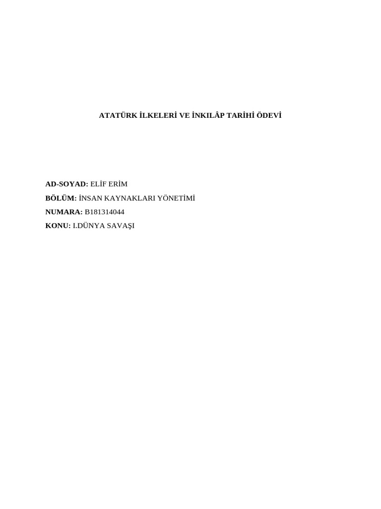 AİİT B181314044 Elif Erim | PDF