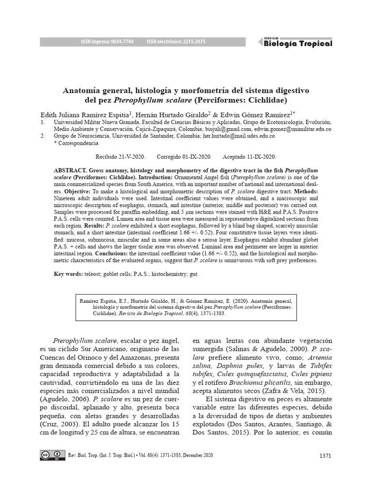 ESPITIA RAMIREZ, E. - 2020 - Anatomia General, Histologia y Mirfimetria Del Sistema Digestivo ...