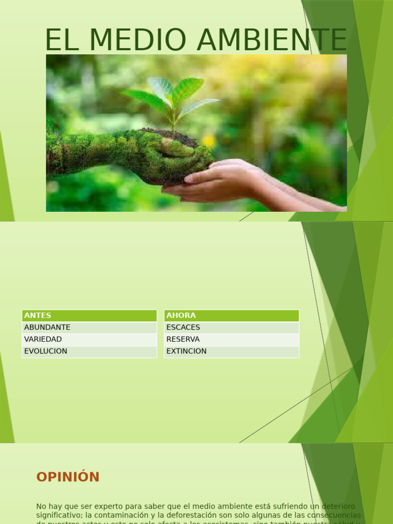 EL MEDIO AMBIENTE Actividad 4 | PDF