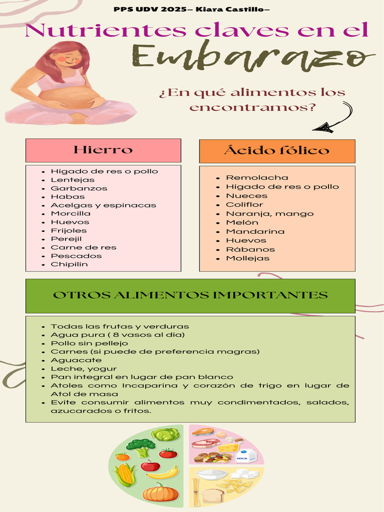 Nutrientes Clave En El Embarazo Pdf