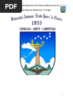 Escala Edmonton Symptom Assessment System | PDF