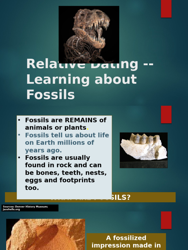 Relative Dating Helpful Slideshow For College | PDF | Fossil | Rock ...