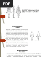 LOCALIZACI+ôN DE ESTRUCTURAS ANAT+ôMICAS. Cavidades Corporales. | PDF | Abdomen | Tórax