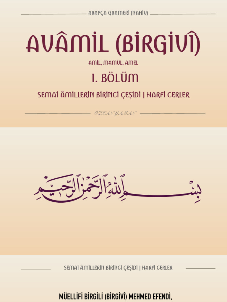 Avami̇l Bi̇rgi̇vi̇ 1 | PDF