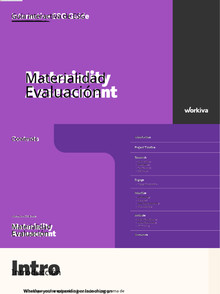 Plantilla Doble Materialidad Español | PDF | Metodología de encuesta | Business