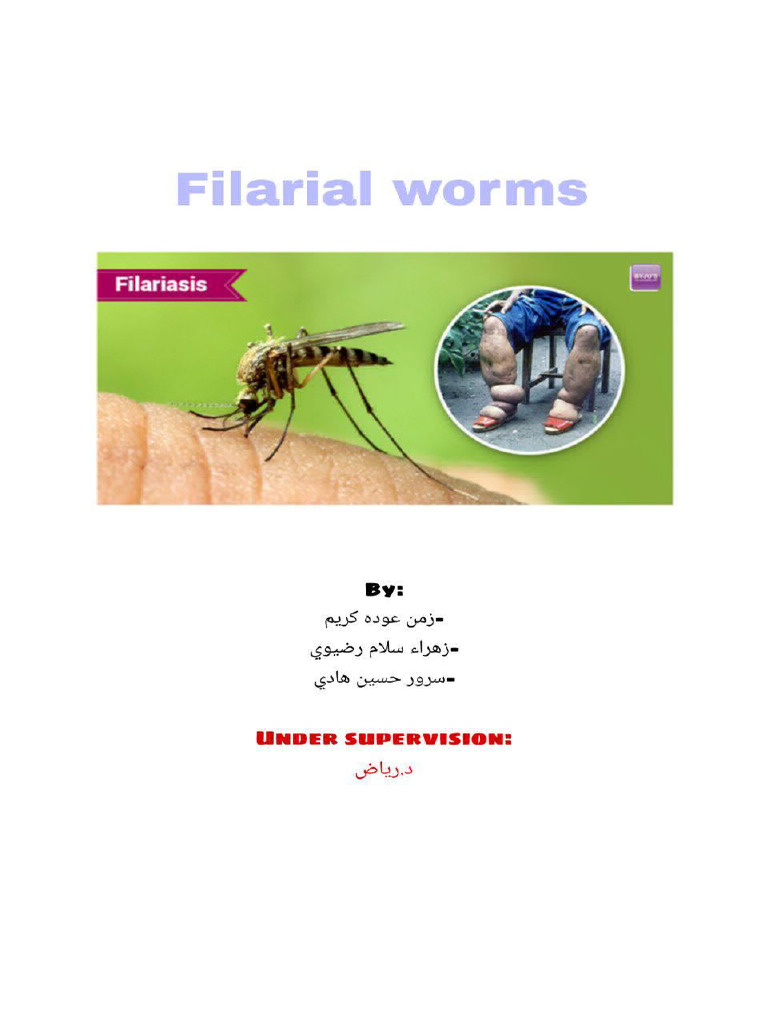 Filarial Worms | PDF