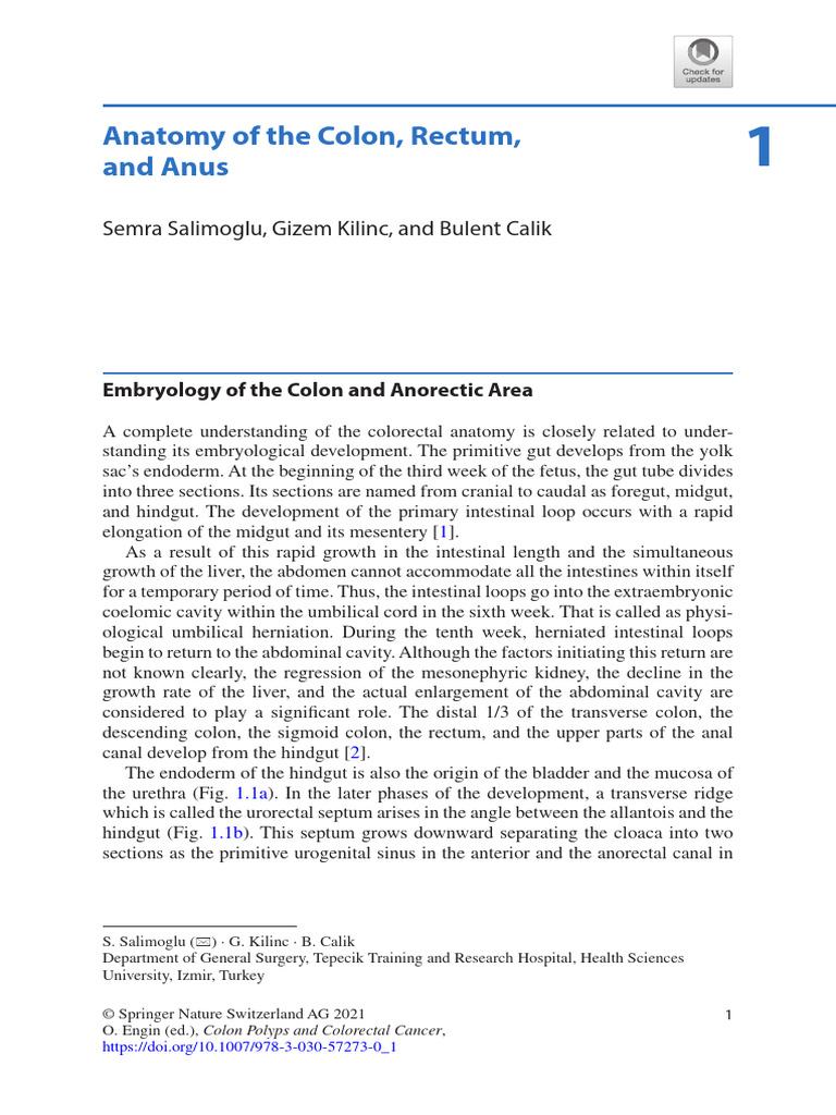 Anatomy of The Colon Rectum and Anus | PDF | Large Intestine | Rectum