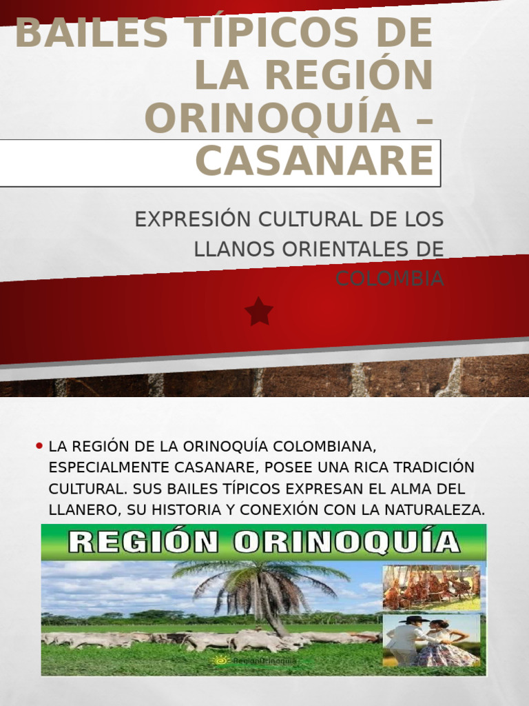 Bailes Tipicos Casanare | PDF