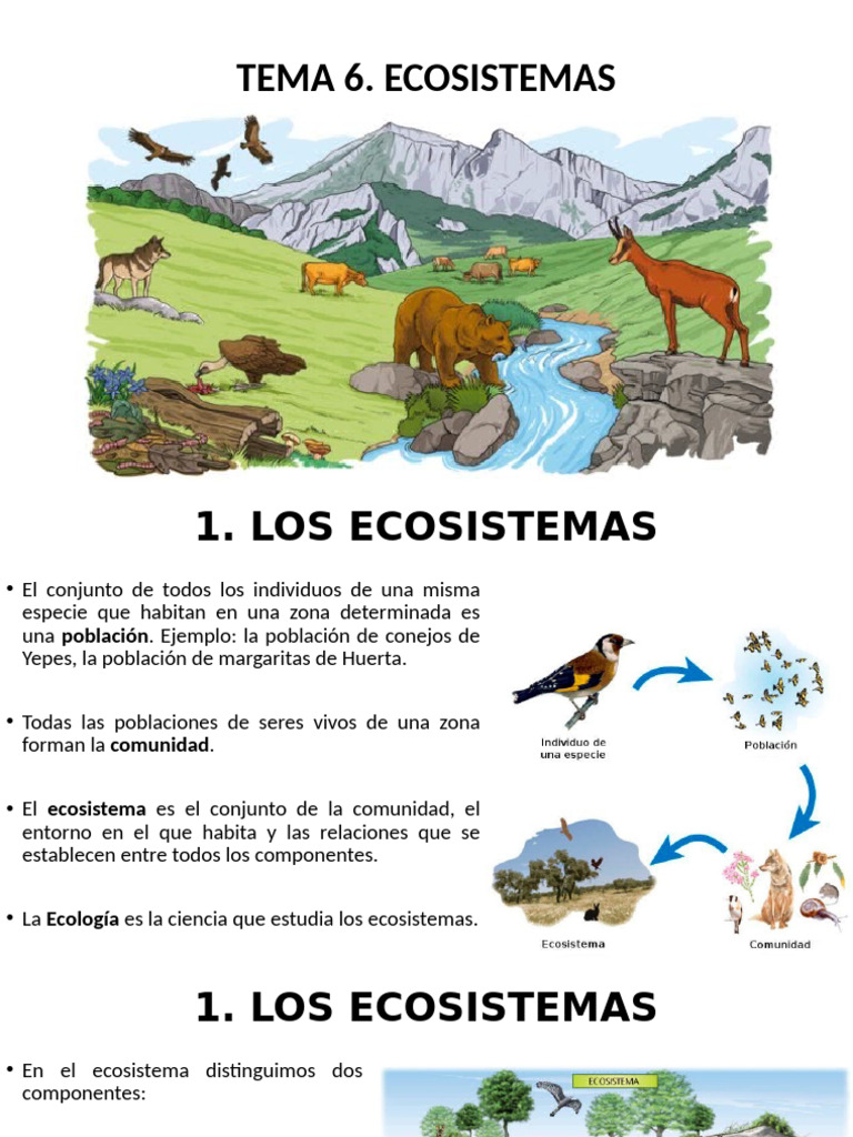 Ecosistemas 1eso | PDF | Ecosistema | Ecología de sistemas