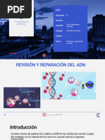 Mecanismos de Reparación de Daños en La Molécula de Adn | PDF | Reparación de adn | Adn