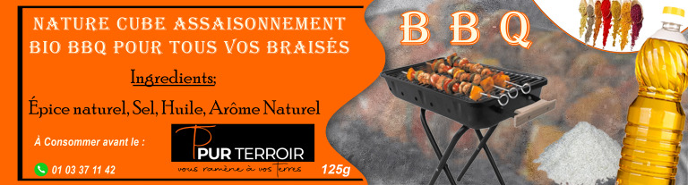 BBQ | PDF