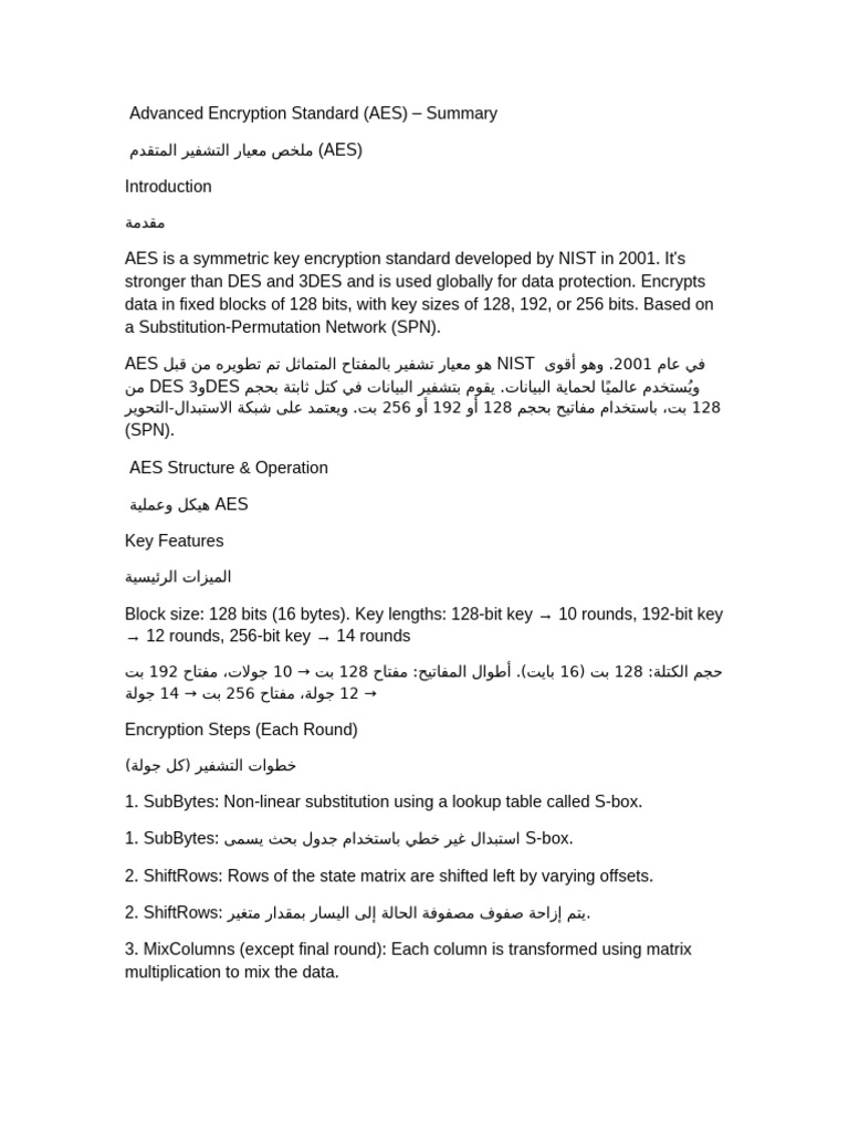 AES Summary Bilingual NoEmojis | PDF