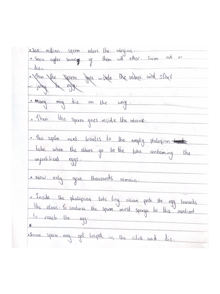 Was Old Homework | PDF